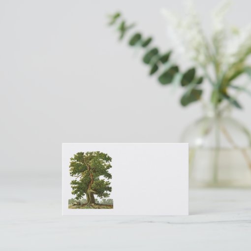 Vintage Oak Tree Business Card | Zazzle