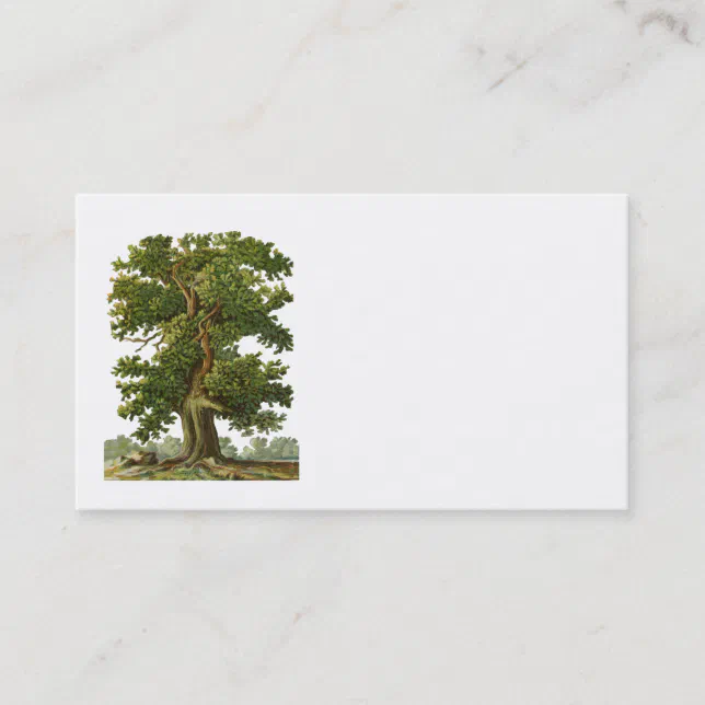 Vintage Oak Tree Business Card | Zazzle
