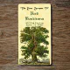 Vintage Oak Tree Custom Bookplate Label | Zazzle