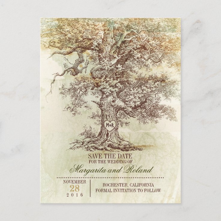 vintage oak tree save the date postcards | Zazzle