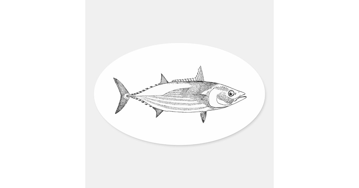 Vintage Ocean Fish Art - Skipjack Tuna Oval Sticker | Zazzle Vintage Ocean Fish Art - Skipjack Tuna Oval Sticker | Zazzle