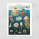 Vintage Oceanography Jellyfish Poster Postcard | Zazzle
