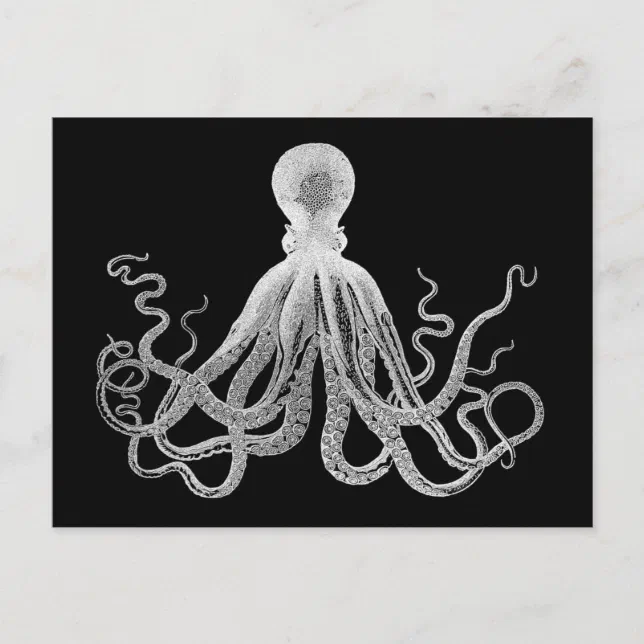 Vintage Octopus Postcard | Zazzle