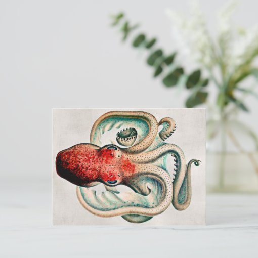 Vintage Octopus Postcard | Zazzle