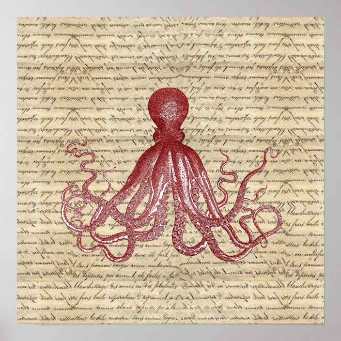 Vintage octopus poster | Zazzle.com
