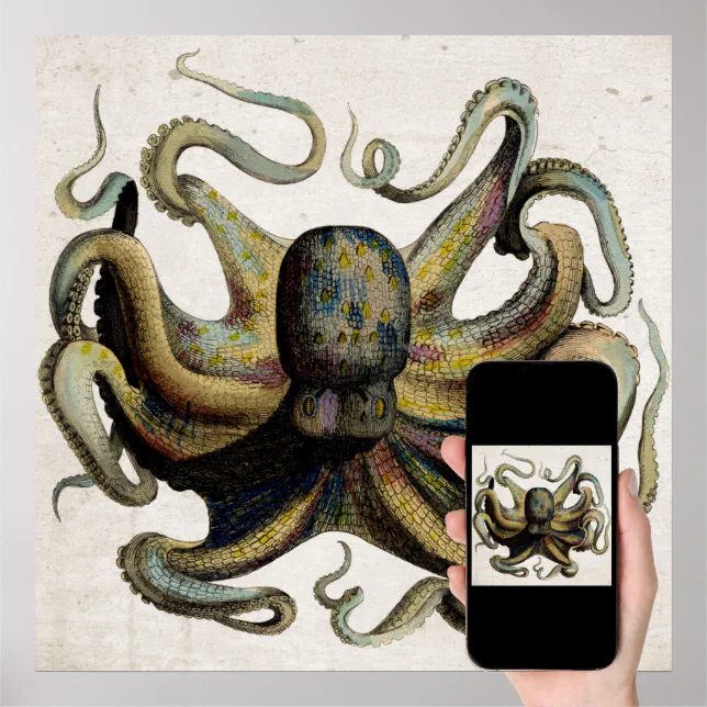 Vintage Octopus Print Poster | Zazzle