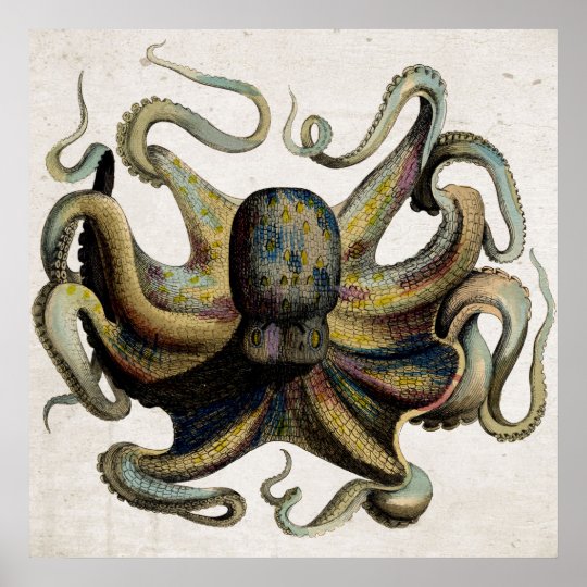 Vintage Octopus Print Poster | Zazzle.com