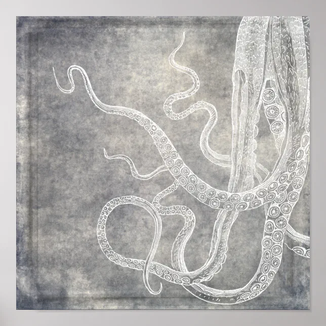 Vintage Octopus Silver Pewter Gray Watercolor Poster | Zazzle