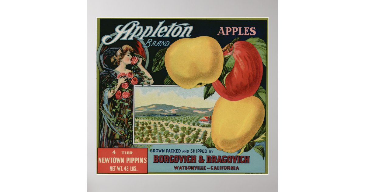 Vintage Old Apple Fruit Crate Labels Poster | Zazzle