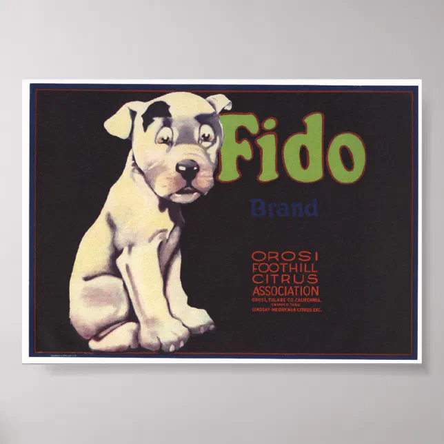 fido paper
