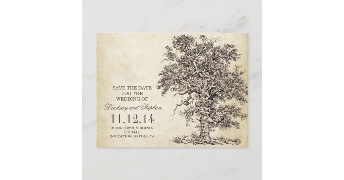 vintage old oak tree save the date postcards | Zazzle