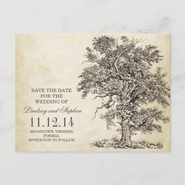 vintage old oak tree save the date postcards | Zazzle