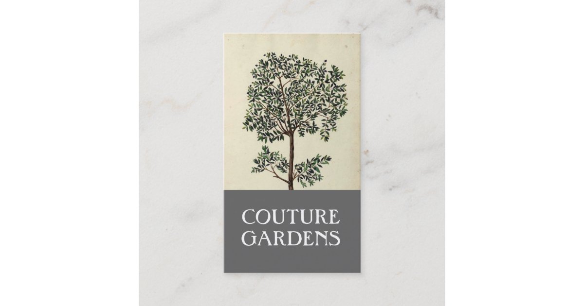 Vintage Olive Tree Gardener Business Card | Zazzle