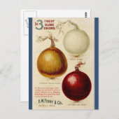 Vintage onion chart illustration card | Zazzle