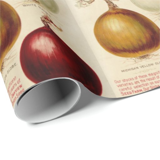 Vintage onion chart illustration gift paper | Zazzle