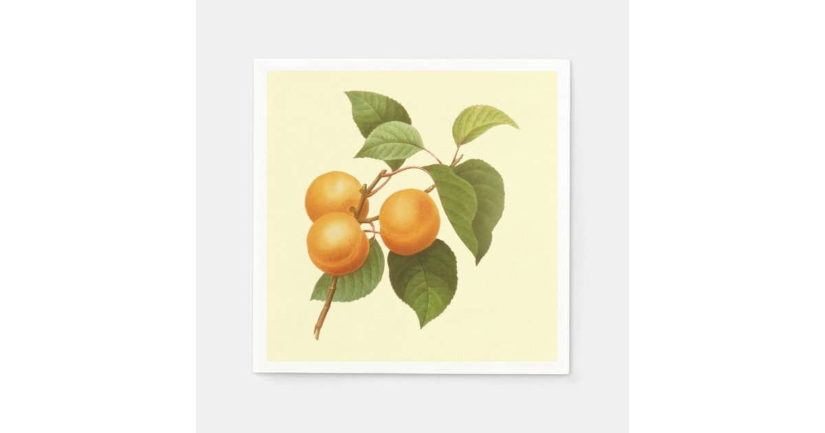 Vintage Orange Apricots Watercolor Drawing Napkins | Zazzle