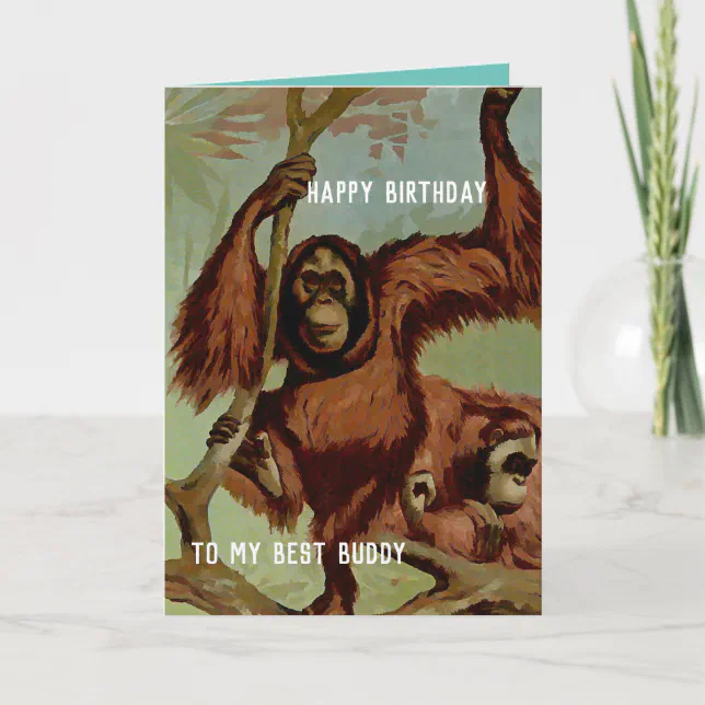Vintage Orangutans On A Tree Happy Birthday Card Zazzle