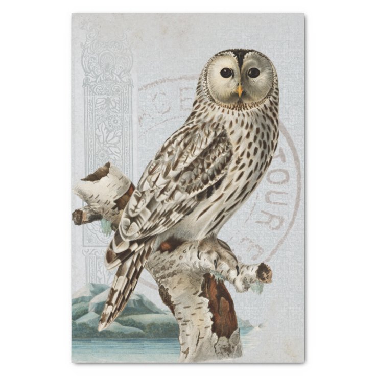 Vintage Owl Bird Blue Decoupage French Postmark Tissue Paper | Zazzle