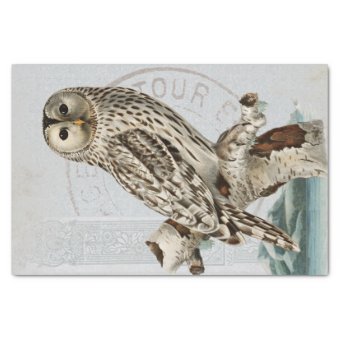 Vintage Owl Bird Blue Decoupage French Postmark Tissue Paper | Zazzle