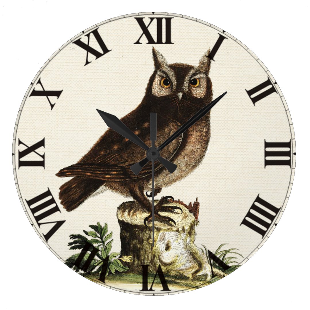 Vintage Owl Drawing Large Clock | Zazzle