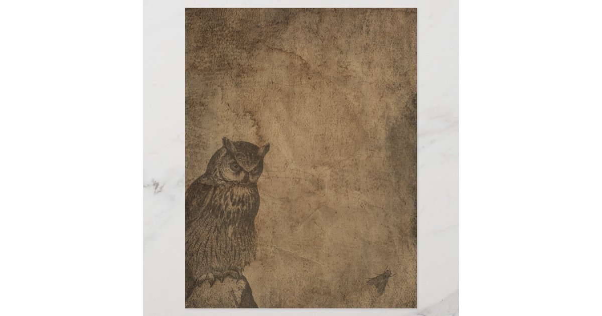 Vintage Owl & Fly Gothic Halloween Scrapbook Paper | Zazzle
