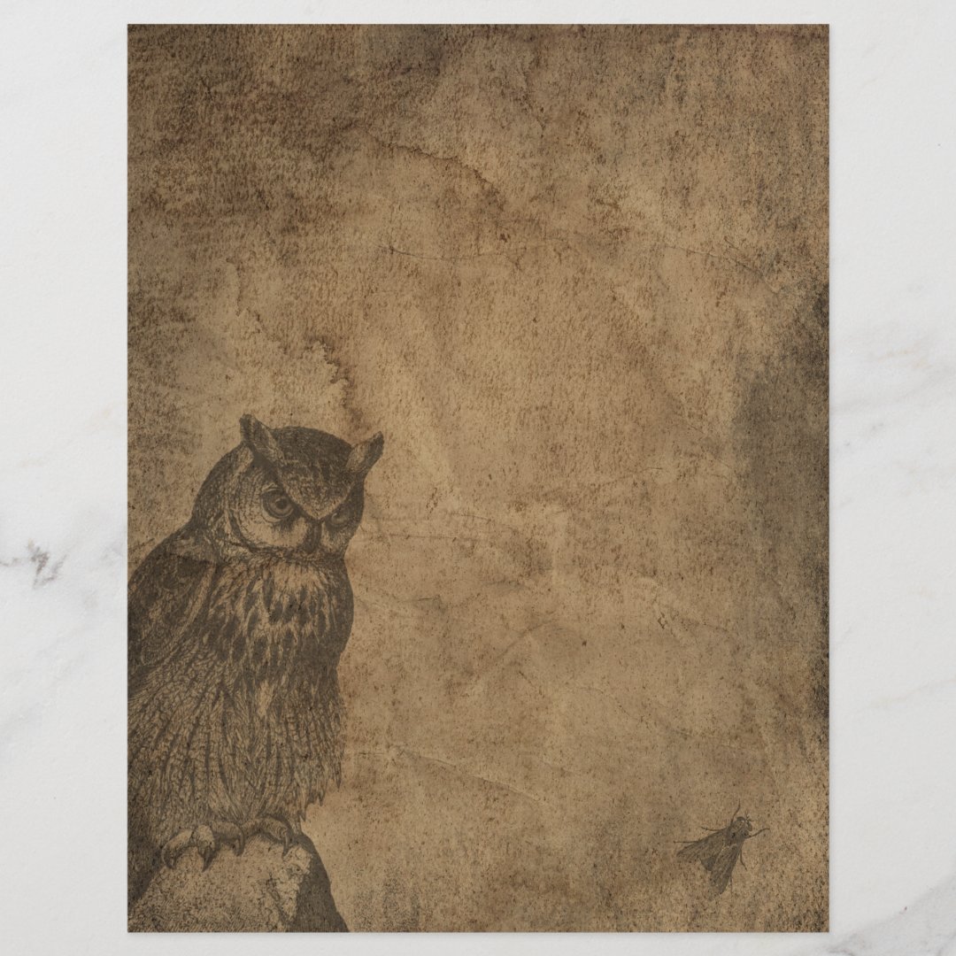 Vintage Owl & Fly Gothic Halloween Scrapbook Paper | Zazzle