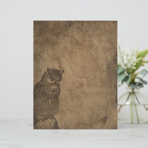 Vintage Owl & Fly Gothic Halloween Scrapbook Paper | Zazzle