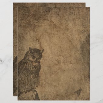 Vintage Owl & Fly Gothic Halloween Scrapbook Paper | Zazzle