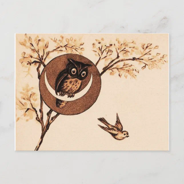 Vintage Owl in Moon Postcard | Zazzle