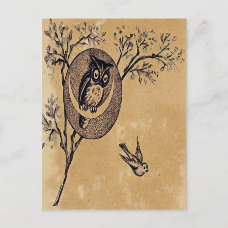 Vintage Owl Postcard | Zazzle
