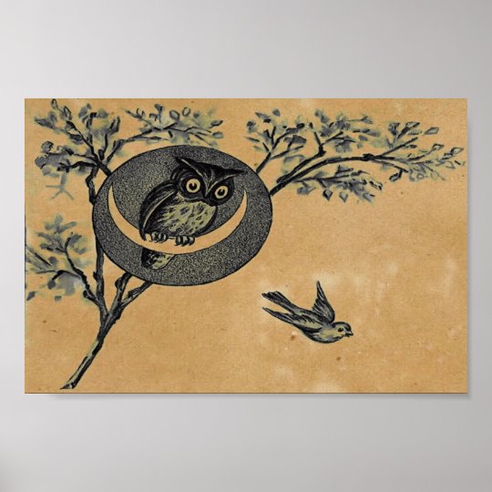 Vintage Owl Poster | Zazzle.com