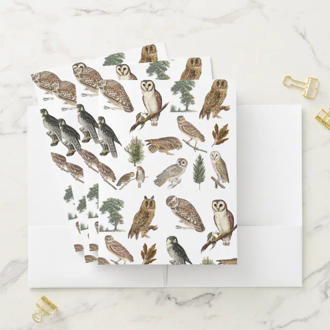 Vintage Owl Watercolor Forest Pattern Pocket Folder | Zazzle
