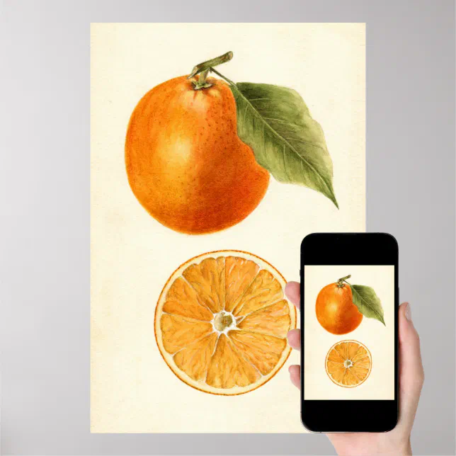 Vintage Painting of an Orange Poster | Zazzle
