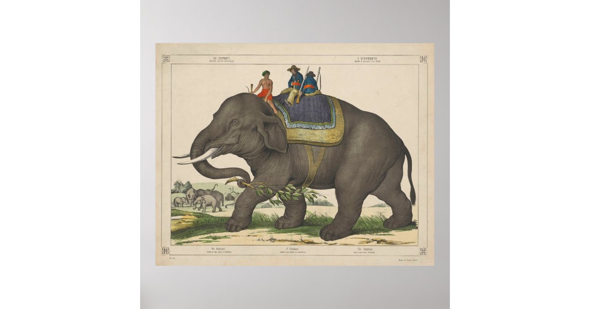 Vintage Painting of Men Riding an Elephant Poster | Zazzle
