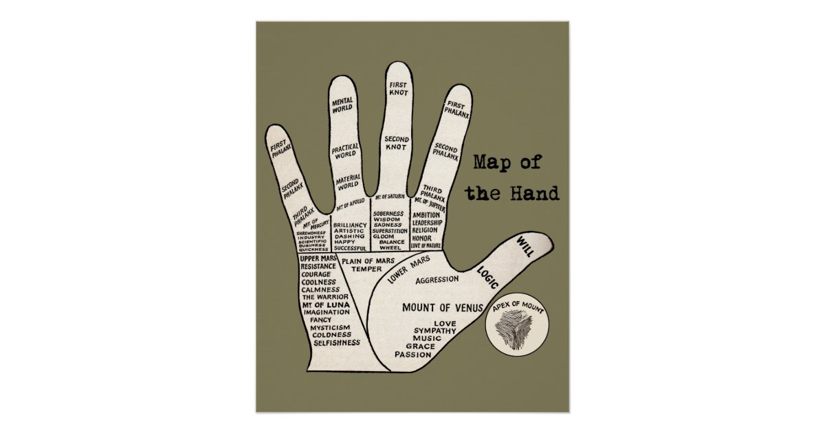 Vintage palm reading palmistry fortune poster | Zazzle