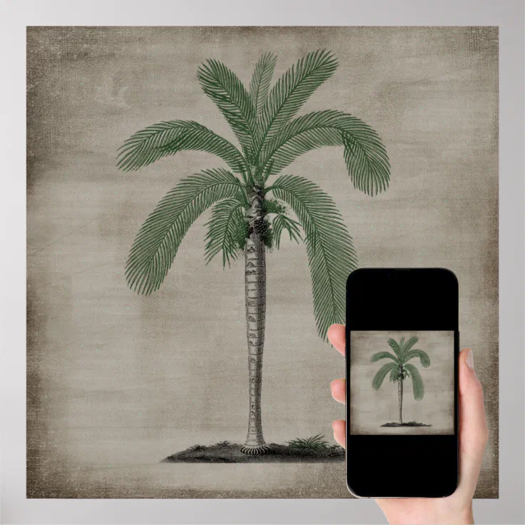 Vintage Palm Tree Poster | Zazzle