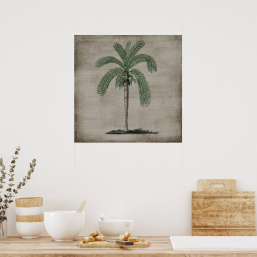 Vintage Palm Tree Poster | Zazzle
