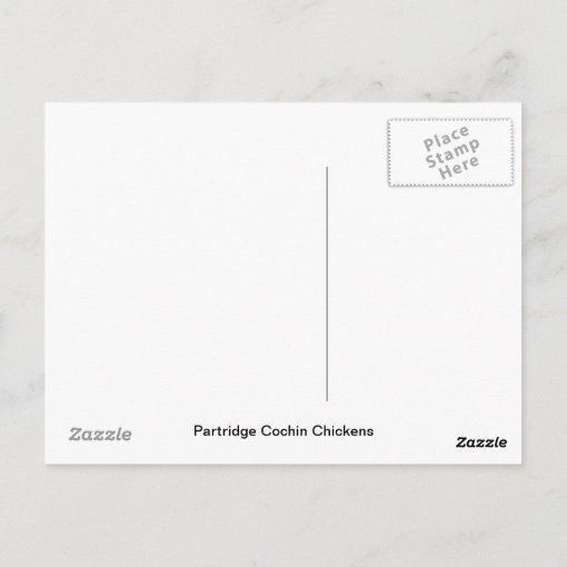 Vintage "Partridge Cochin Chickens" Postcard | Zazzle