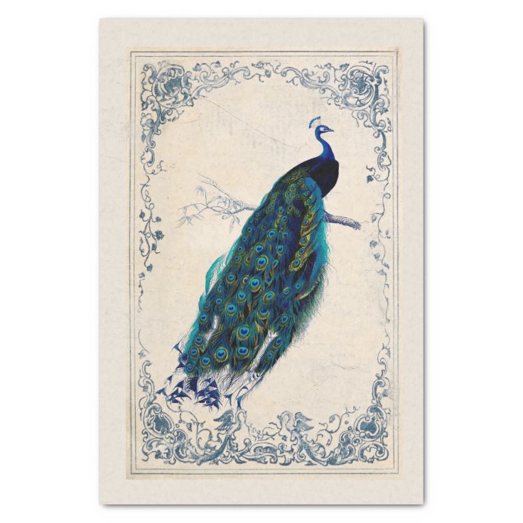 Vintage Peacock Blue Bird Frame Decoupage Tissue Paper | Zazzle