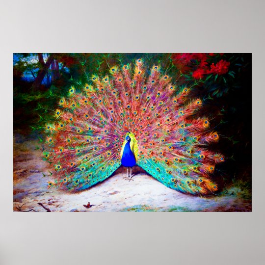 Vintage Peacock Painting Poster | Zazzle.com