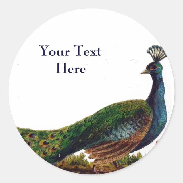Vintage Peacock Stickers | Zazzle