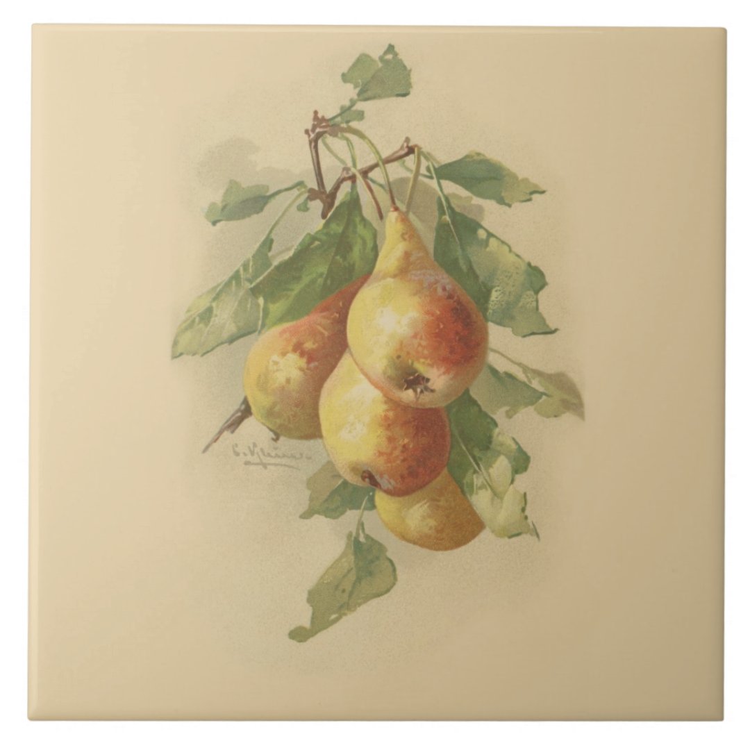 Vintage pears ceramic tile | Zazzle