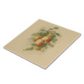 Vintage pears ceramic tile | Zazzle