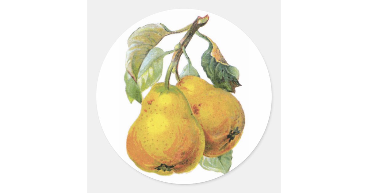 Vintage Pears Classic Round Sticker | Zazzle