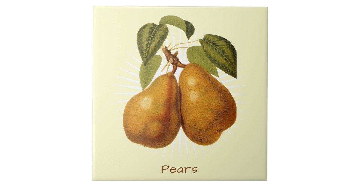 Vintage Pears Fruit Botanical Art Ceramic Tile | Zazzle