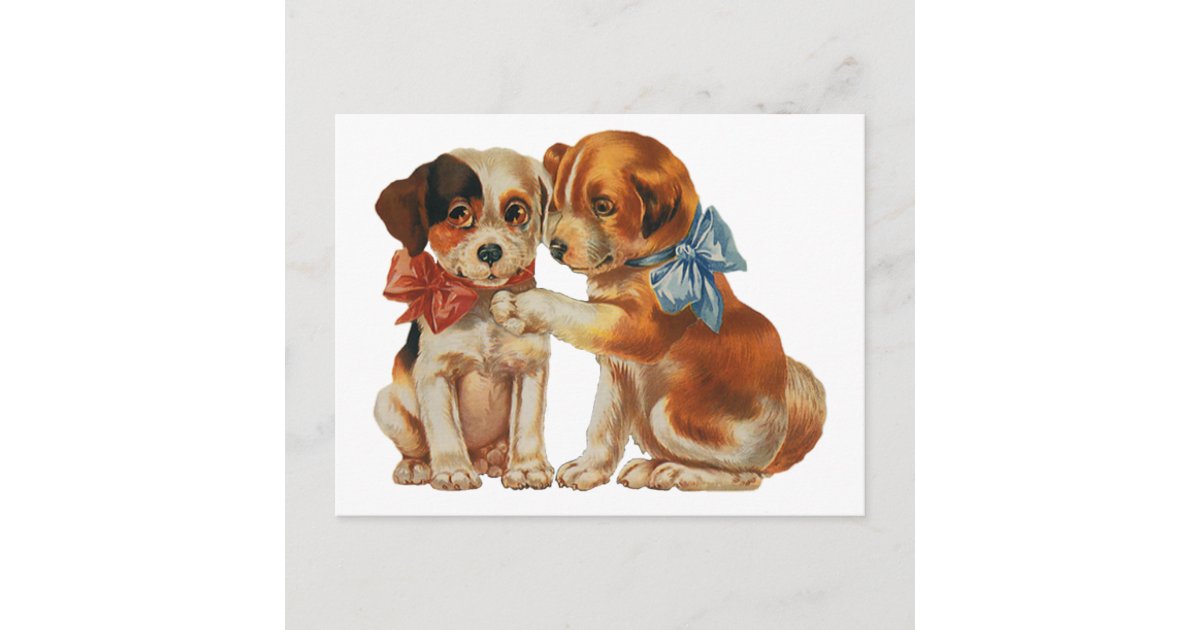 Vintage Pet Animals, Puppy Love Puppies with Bows Postcard | Zazzle