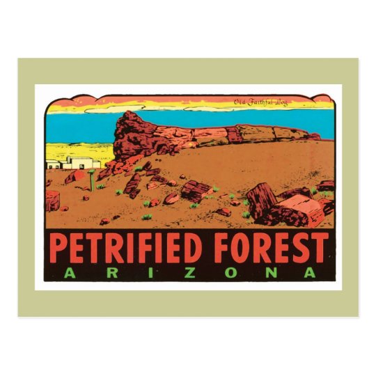 Vintage Petrified Forest Arizona AZ State Label Postcard | Zazzle.com