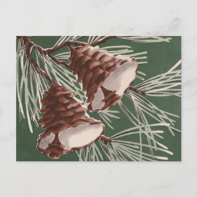 Vintage Pine Cone Christmas Bells Postcard | Zazzle