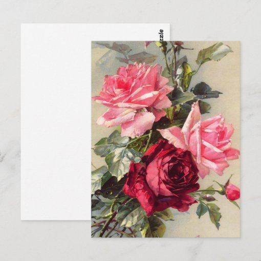 Vintage Pink and Red Roses Postcard | Zazzle