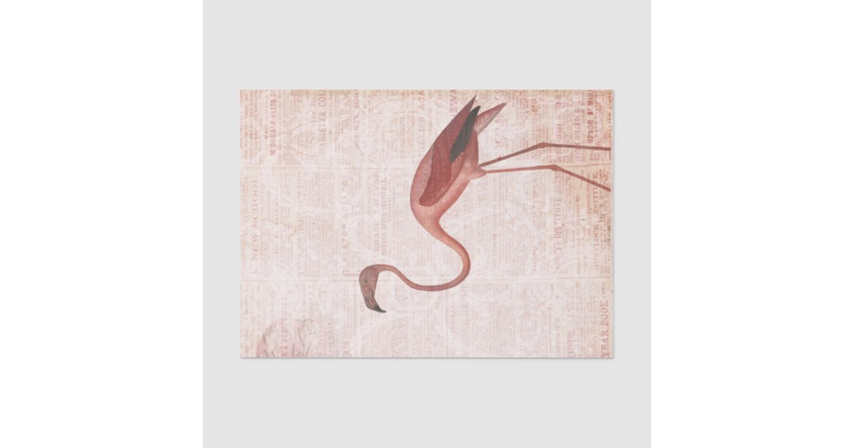 Vintage Pink Flamingo Tissue Paper | Zazzle